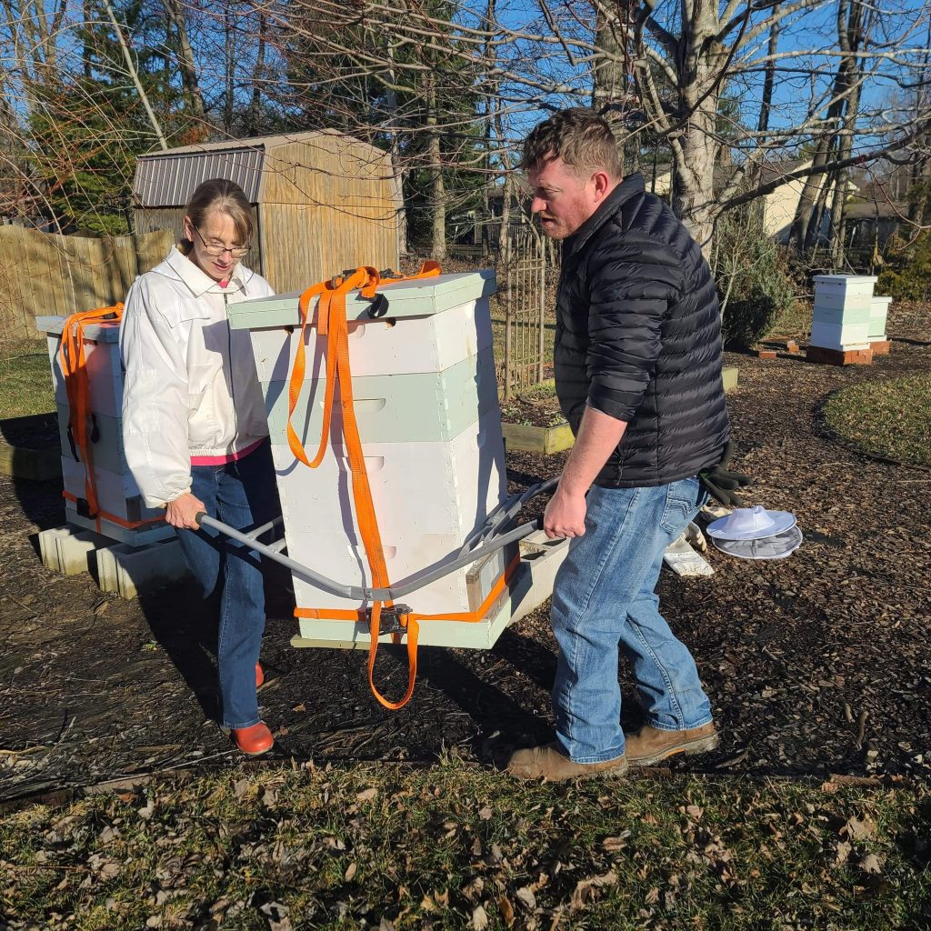 Successful Hive Move Hinges on Preparation - Backyard Beekeeping